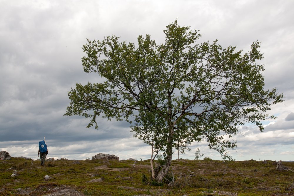 Uudet Turvallisuus-sivut julkaistu – ajantasaiset ohjeet yhdistyksille ...