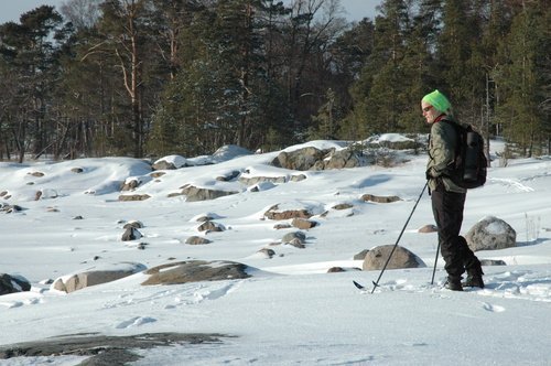 Suomen Latu lausui luonnonsuojelulaista - Suomen Latu