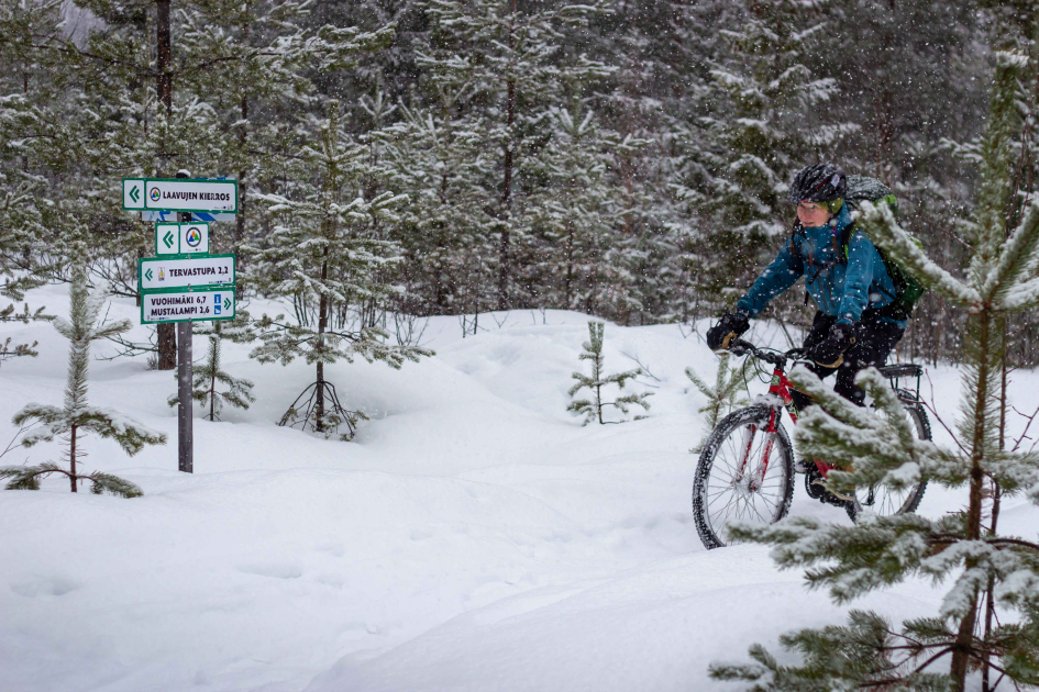 Vaalit - Suomen Latu