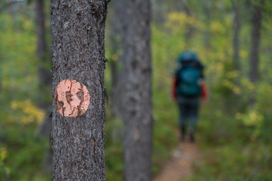 Vaikuttaminen - Suomen Latu